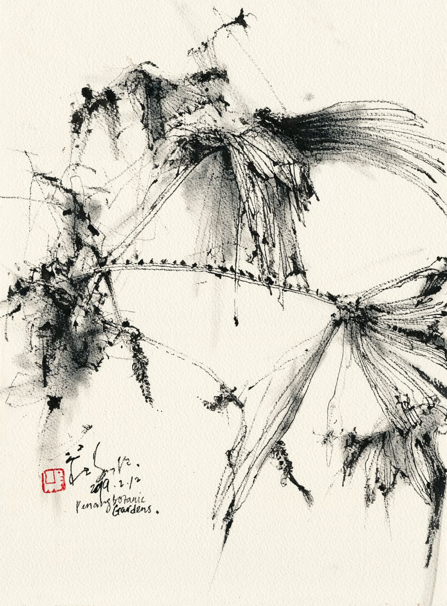 20190212 Palm Tree, Penang Botanic Gardens I – Ch'ng Kiah Kiean